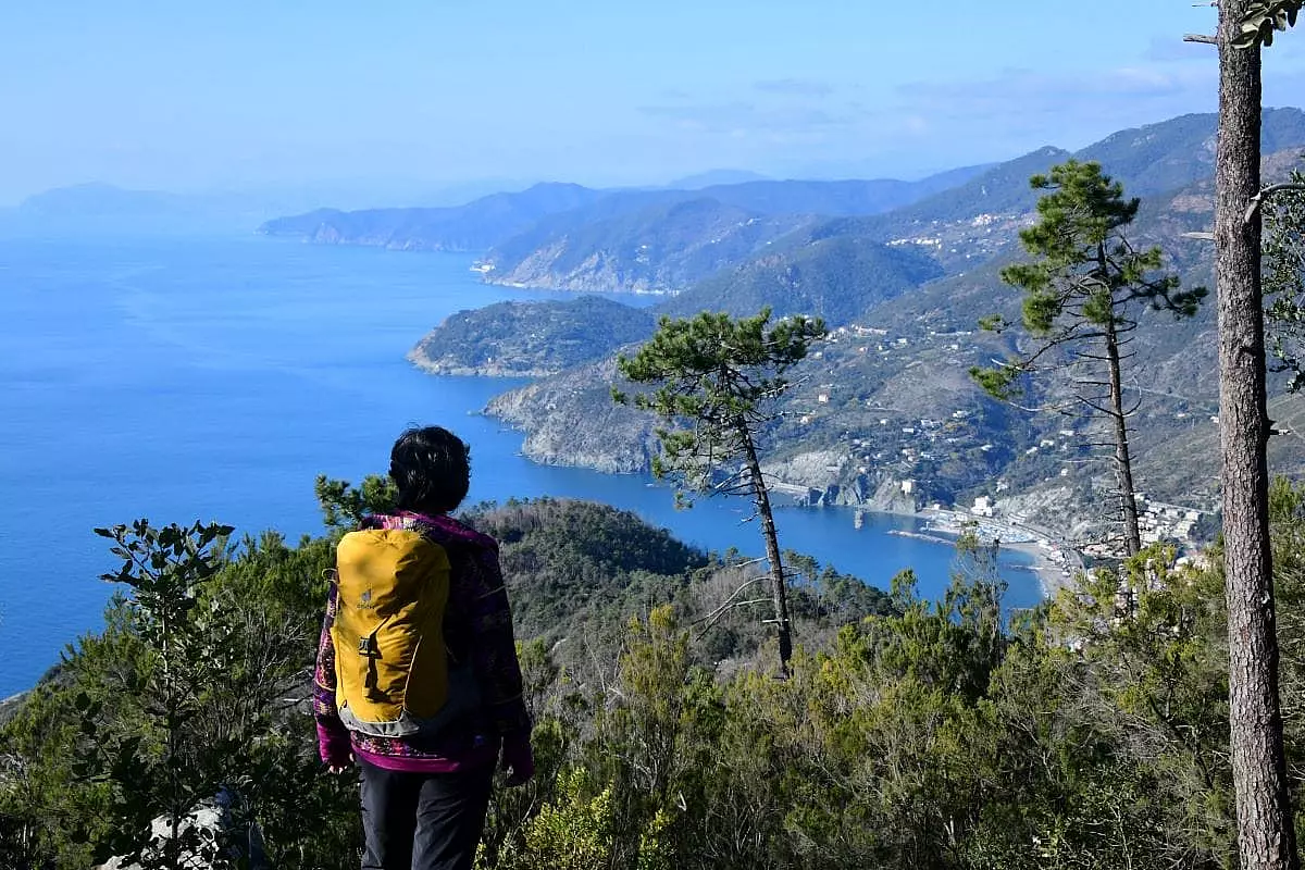 Fino alla vetta del Monte Focone per un percorso panoramico ...