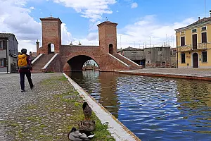 Dai fenicotteri rosa alla "piccola Venezia", scopri la bellezza delle ...
