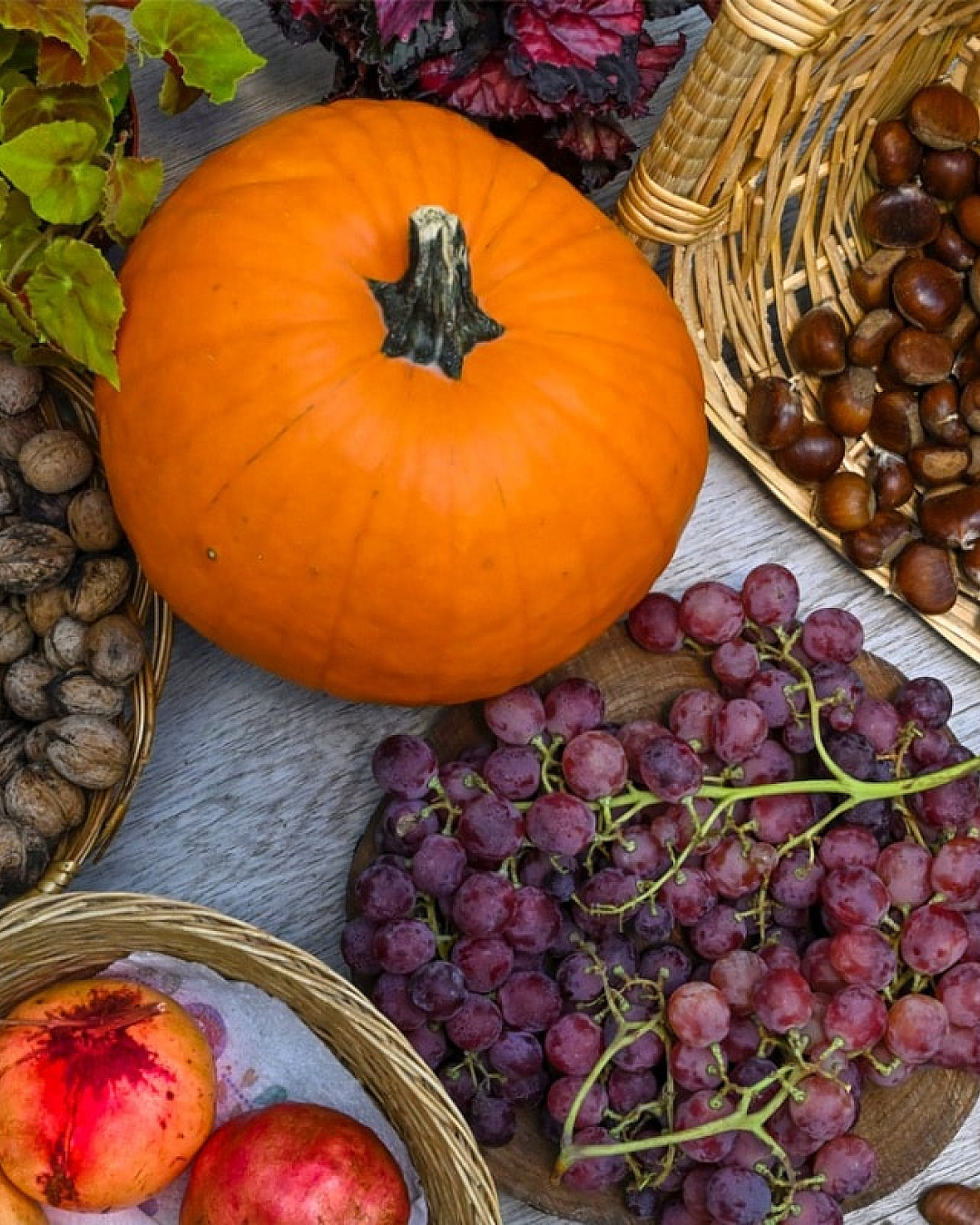 Tra vino e castagne: il sapore dell'autunno in Trentino è unico ...