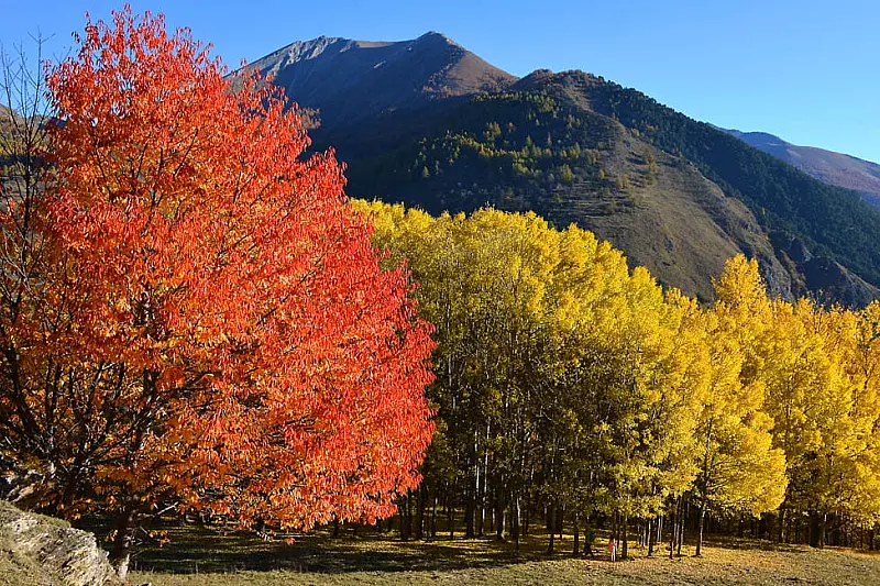 Una semplice passeggiata in Piemonte per ammirare lo spettacolo del ...