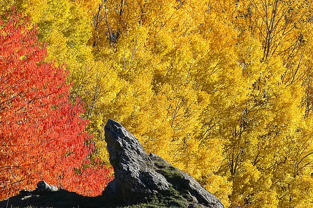 Una semplice passeggiata in Piemonte per ammirare lo spettacolo del ...
