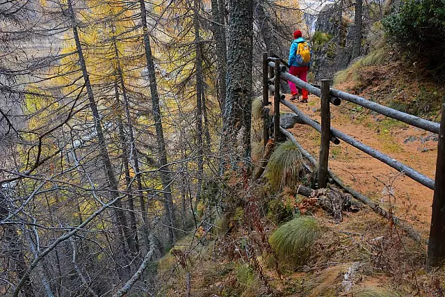 Passo dopo passo tra musei, cascate e boschi colorati per una ...