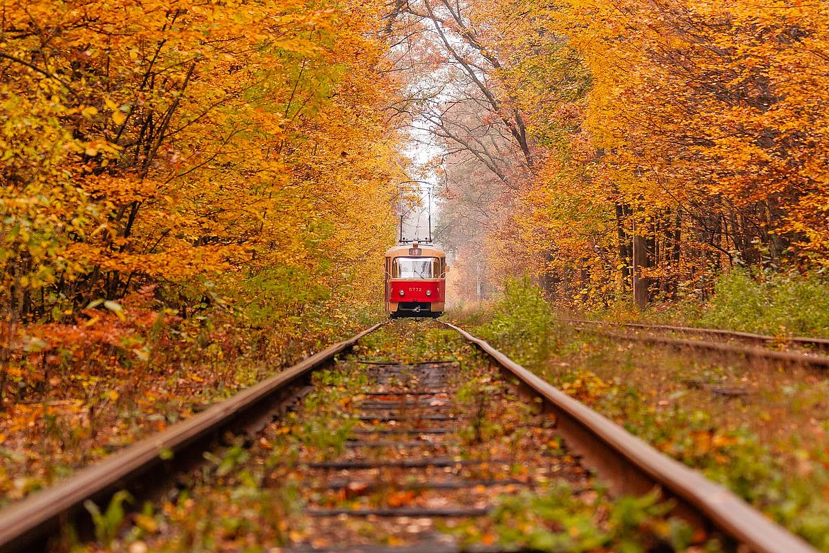 Una semplice passeggiata in Piemonte per ammirare lo spettacolo del ...