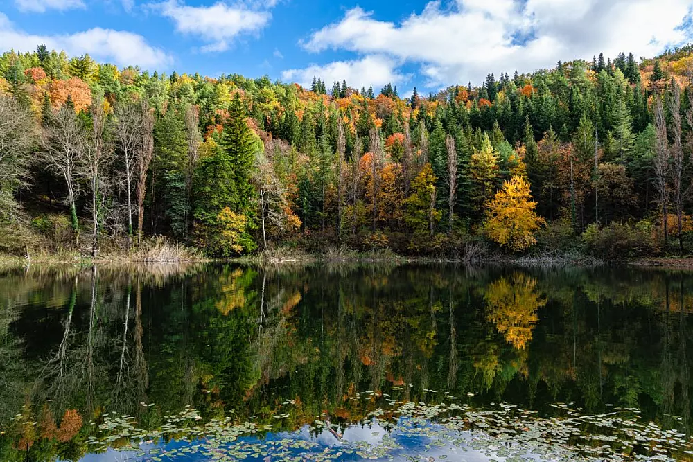 A due passi da Roma, all'ombra dei Monti Lucretilli, ci sono due laghetti splendidi per un ...