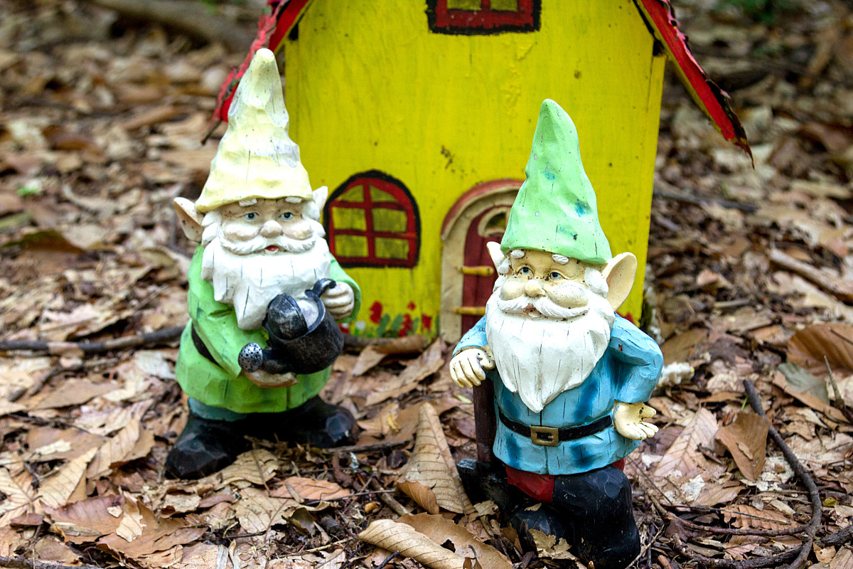 Alla scoperta delle leggende marchigiane in un bosco da fiaba che farà ...