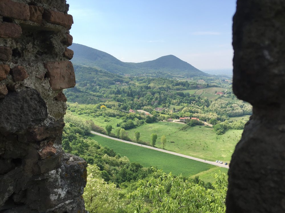 Colli Euganei: alla scoperta delle "basse vette" del Veneto
