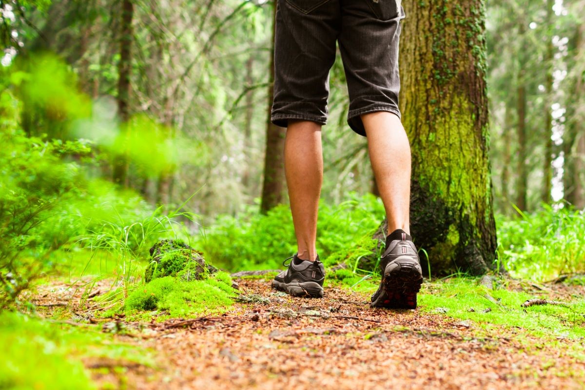 Camminare fa davvero bene alla salute? Ecco i passi che dovremmo fare ... Camminare fa davvero bene alla salute? Ecco i passi che dovremmo fare ...