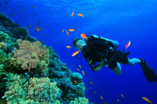 Dove fare immersioni in Italia? Le mete imperdibili sono a due passi da ...