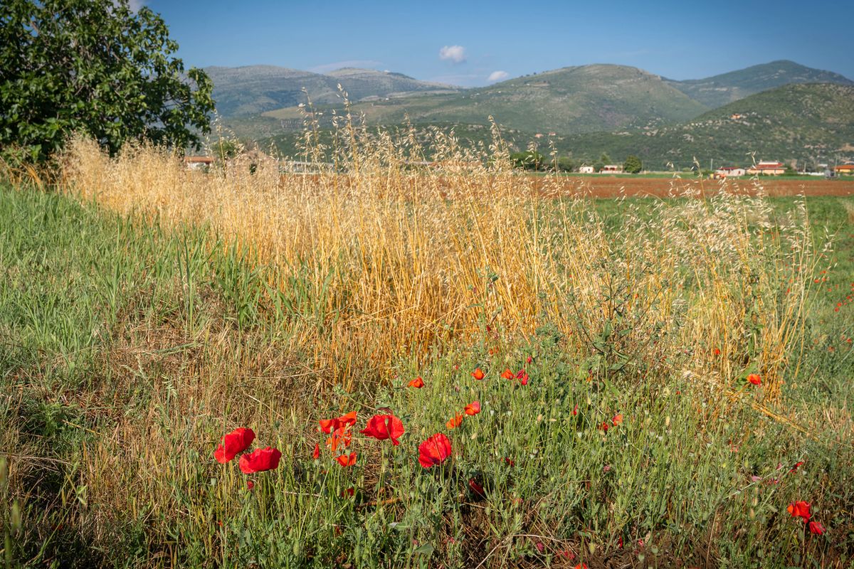 Nel Lazio, sui Monti della Tolfa, c'è un trekking avventuroso che ti ...