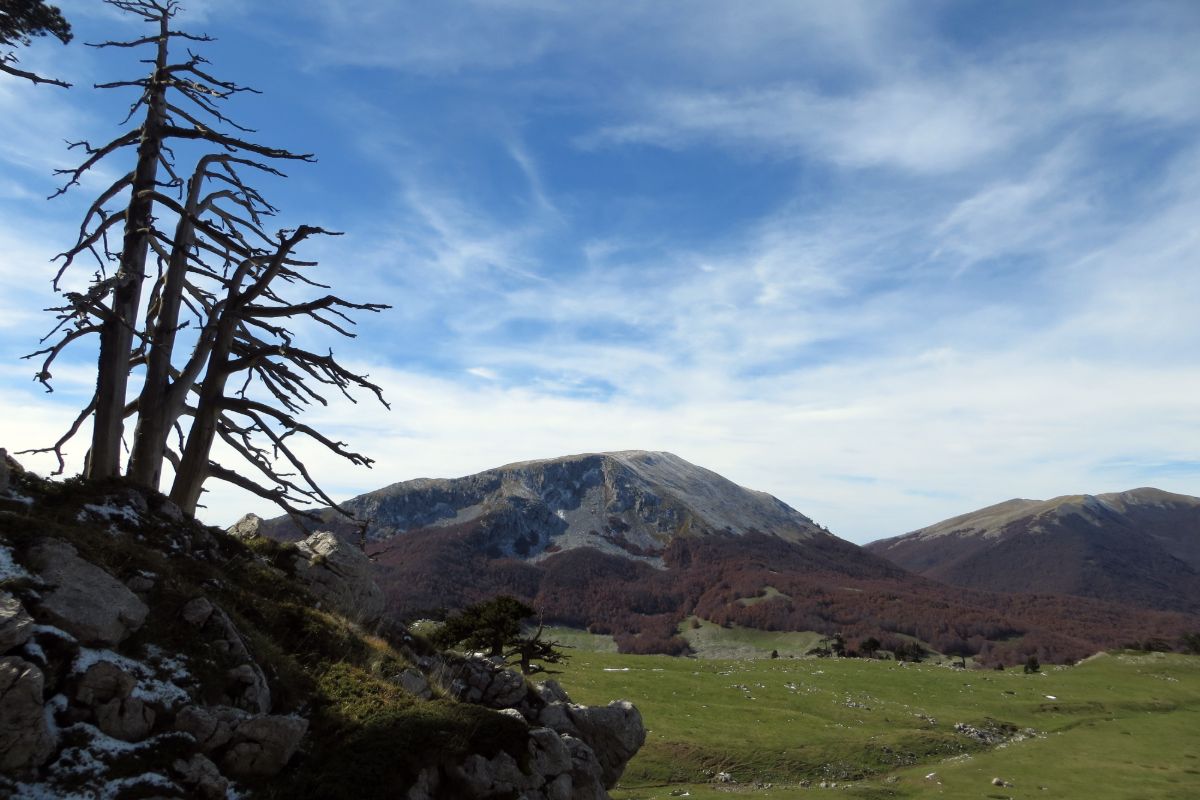 All'interno del Parco Nazionale del Pollino un percorso ad anello per ...